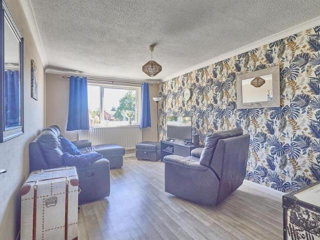 1 bedroom house to rent