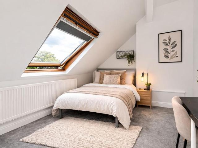 1 bedroom house to rent