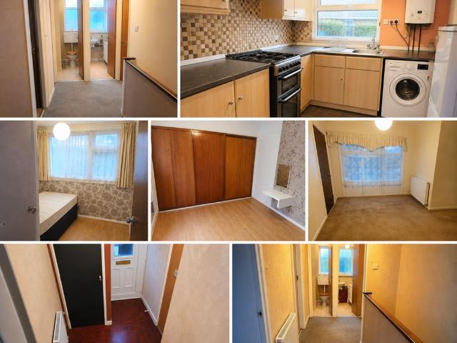 1 bedroom house to rent