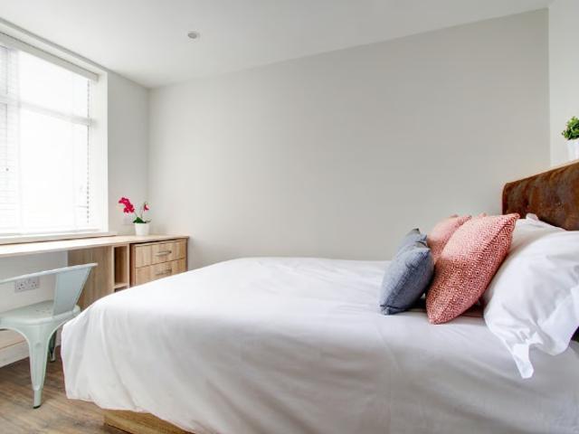 1 bedroom house to rent
