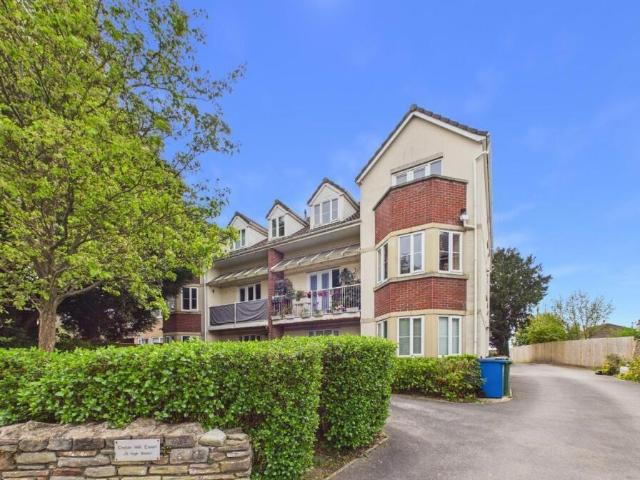 1 bedroom house to rent