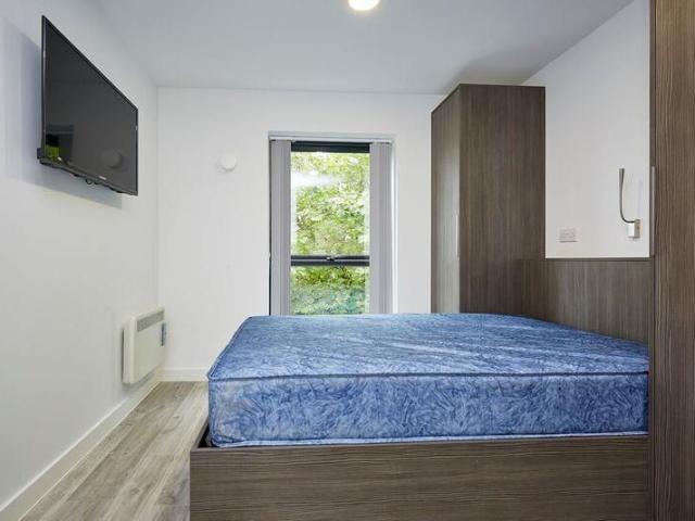 1 bedroom house to rent