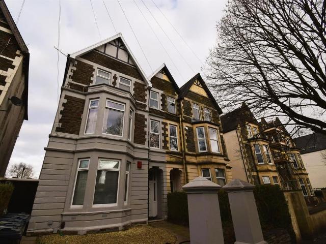 1 bedroom house to rent