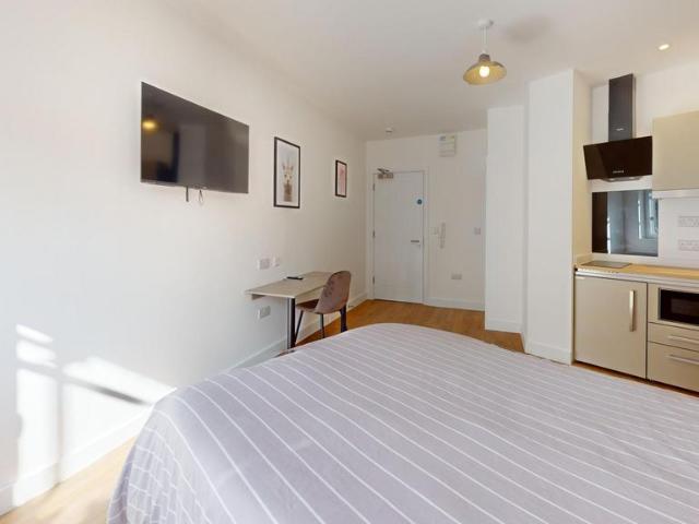 1 bedroom house to rent