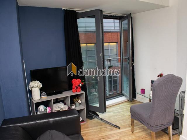 1 bedroom house to rent