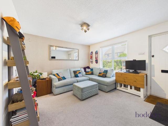 1 bedroom house to rent