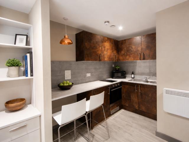 1 bedroom house to rent