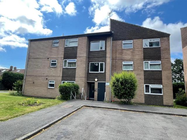1 bedroom house to rent