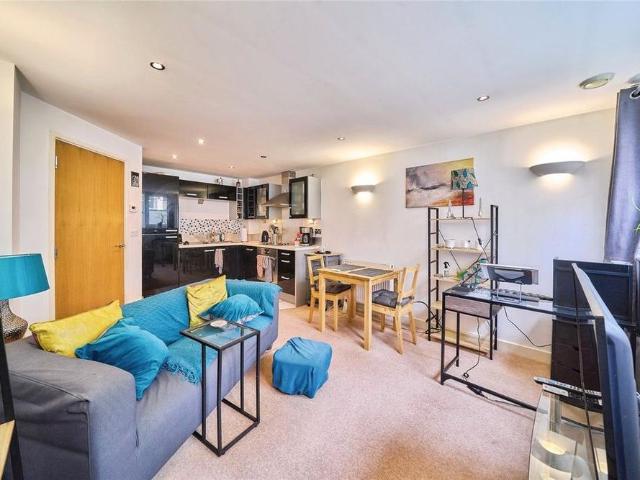 1 bedroom house to rent