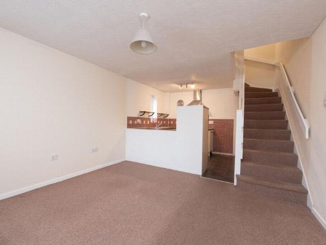 1 bedroom house to rent