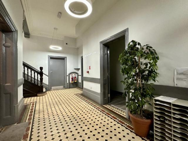 1 bedroom house to rent