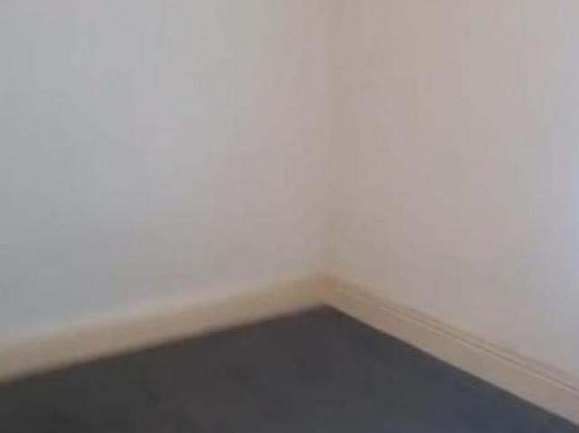 1 bedroom house to rent