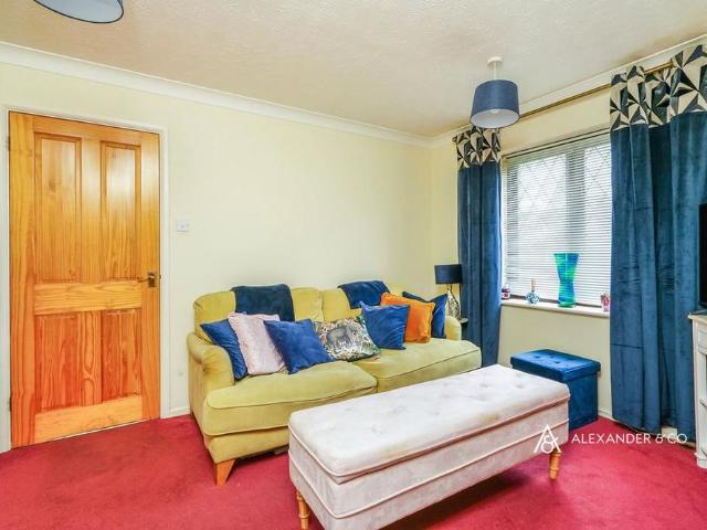 1 bedroom house to rent