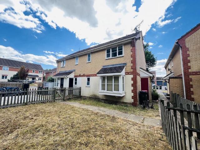 1 bedroom house to rent