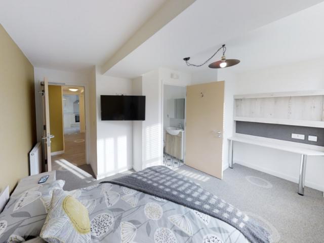 1 bedroom house to rent
