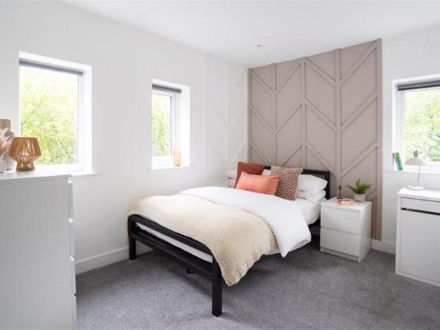 1 bedroom house to rent