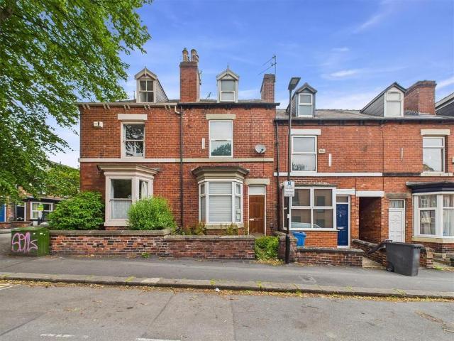 1 bedroom house to rent