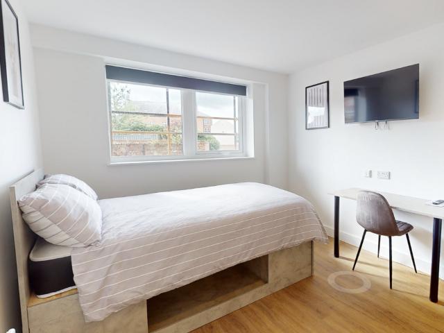 1 bedroom house to rent