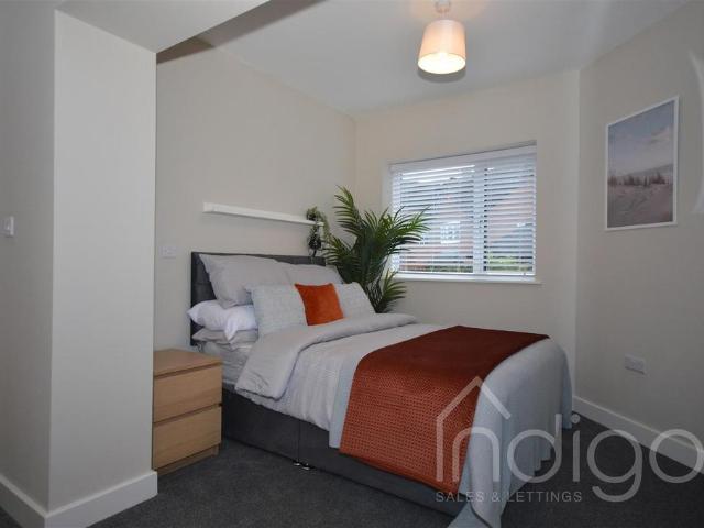 1 bedroom house to rent