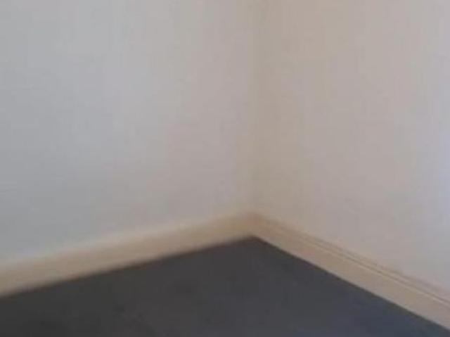 1 bedroom house to rent