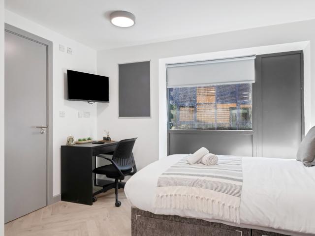 1 bedroom house to rent