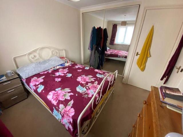 1 bedroom house to rent