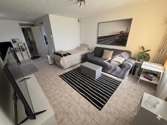 1 bedroom house to rent
