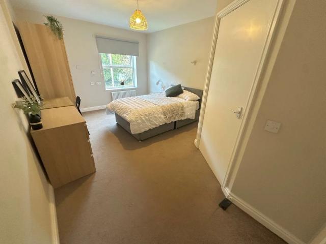 1 bedroom house to rent