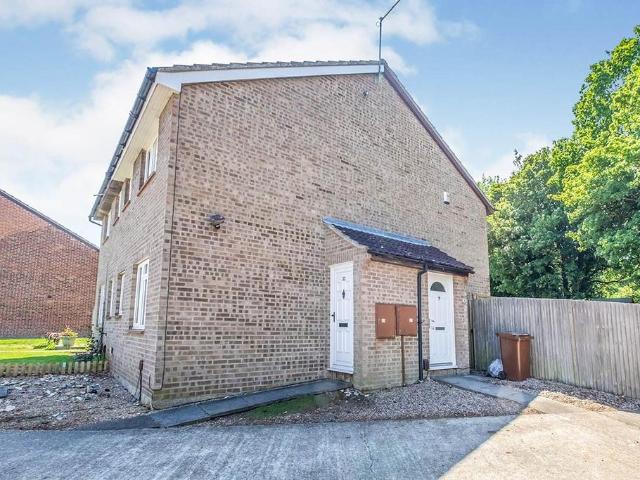 1 bedroom house to rent