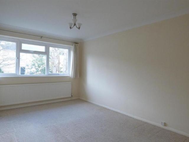 1 bedroom house to rent