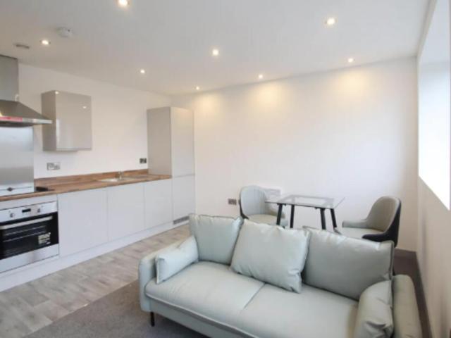 1 bedroom house to rent