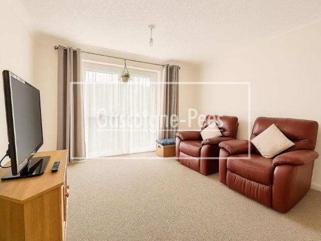 1 bedroom house to rent