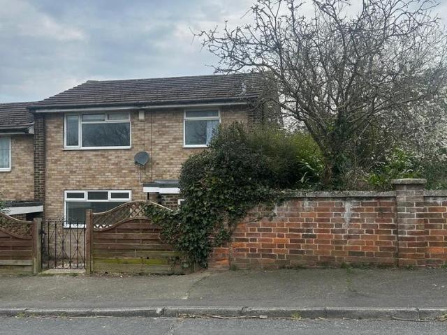 3 bedroom house to rent