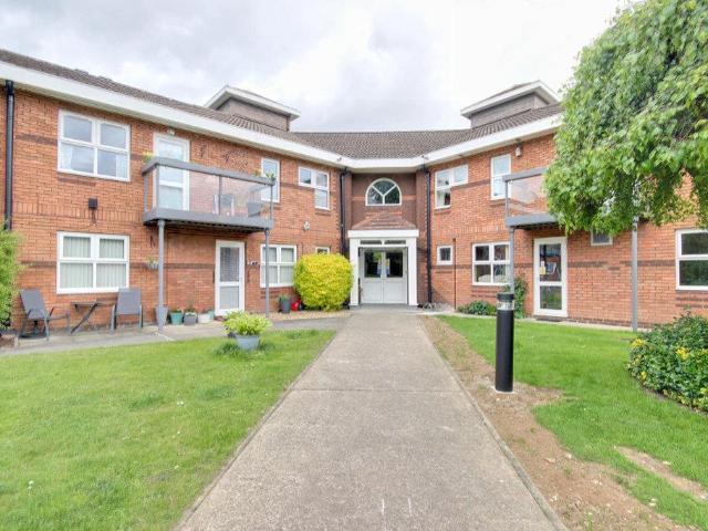 1 bedroom house to rent