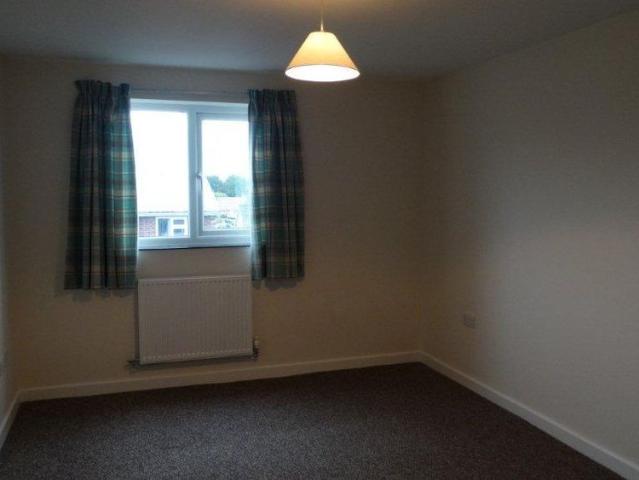 1 bedroom house to rent