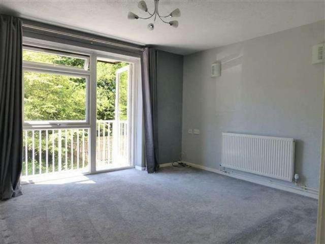 1 bedroom house to rent