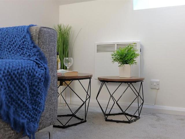 1 bedroom house to rent