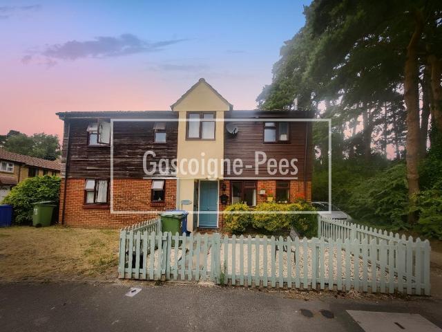 1 bedroom house to rent