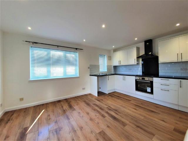 1 bedroom house to rent