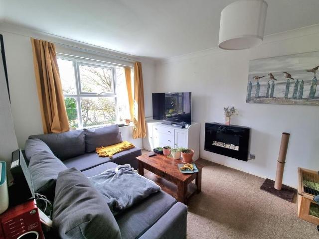 1 bedroom house to rent