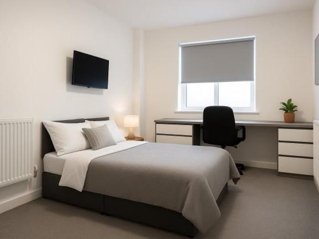 1 bedroom house to rent