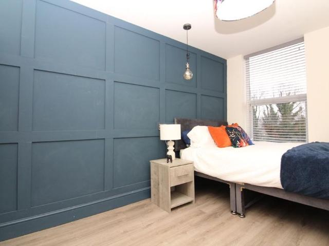 1 bedroom house to rent