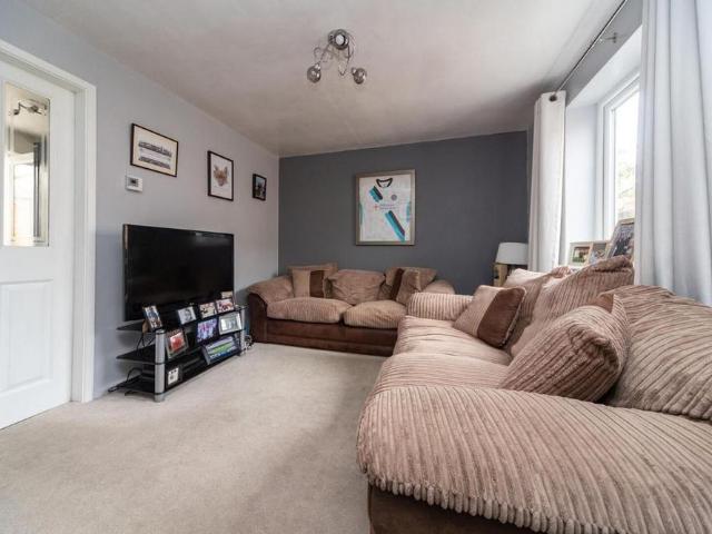 1 bedroom house to rent