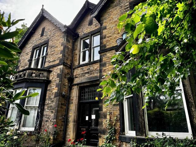 1 bedroom house to rent