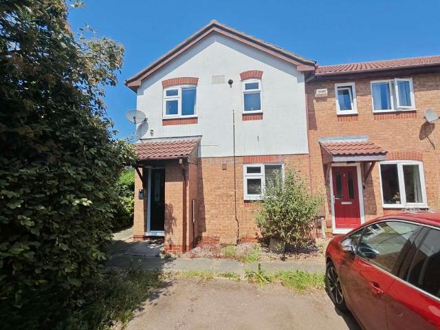 1 bedroom house to rent