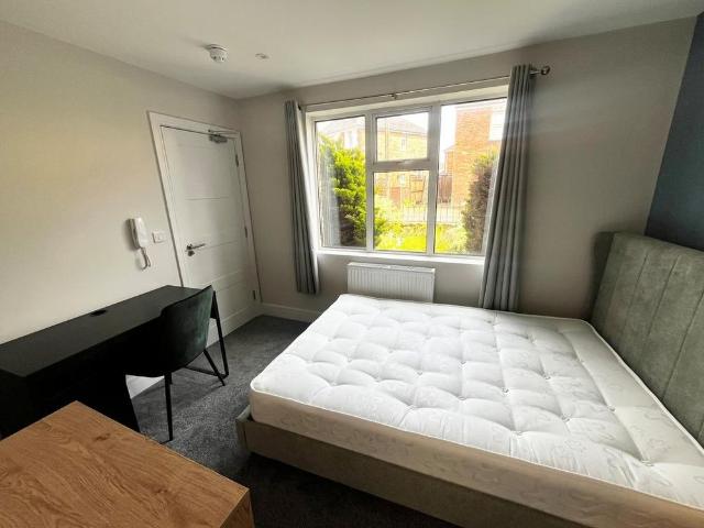 1 bedroom house to rent