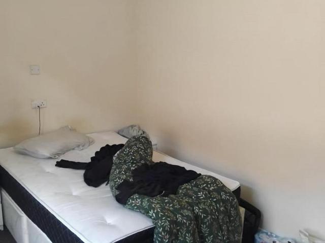 1 bedroom house to rent