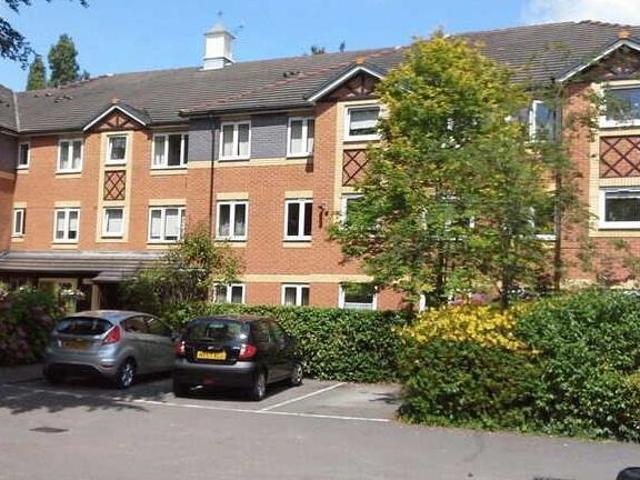 1 bedroom house to rent