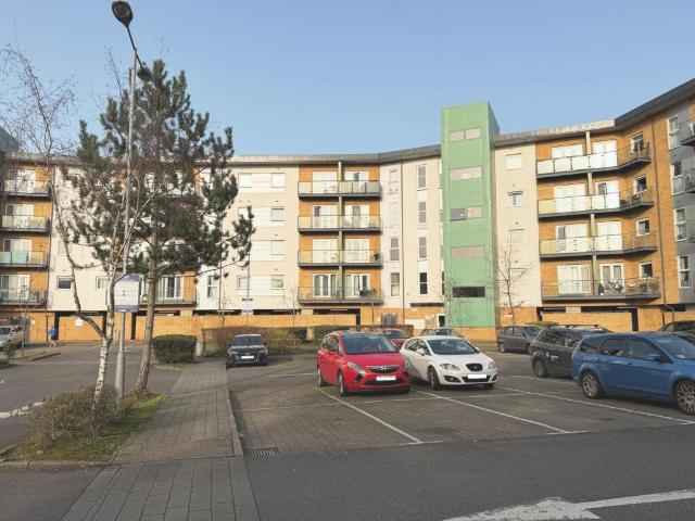 1 bedroom house to rent