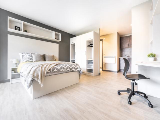 1 bedroom house to rent